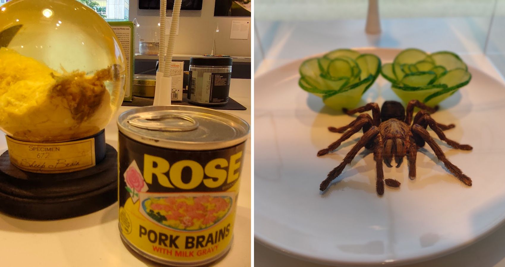 Besök World´s Disgusting Food Museum i Malmö - Vad händer i Sverige